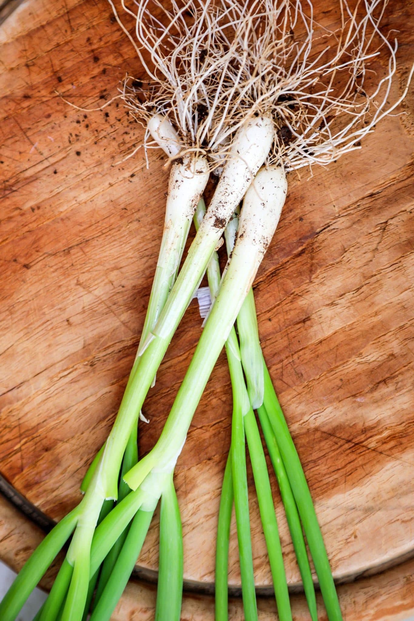 Scallions vs Green Onions: What’s the Difference? - Chef Tariq
